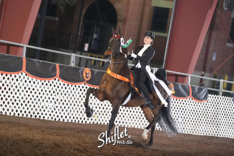 THREE TOP TEN HIGH POINT AWARD EQUITATION RIDERS!! | Timber Hills Farm